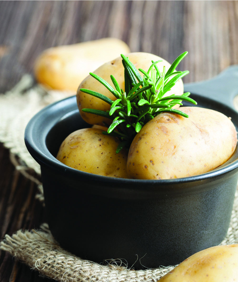 La pomme de terre | VICI Solutions