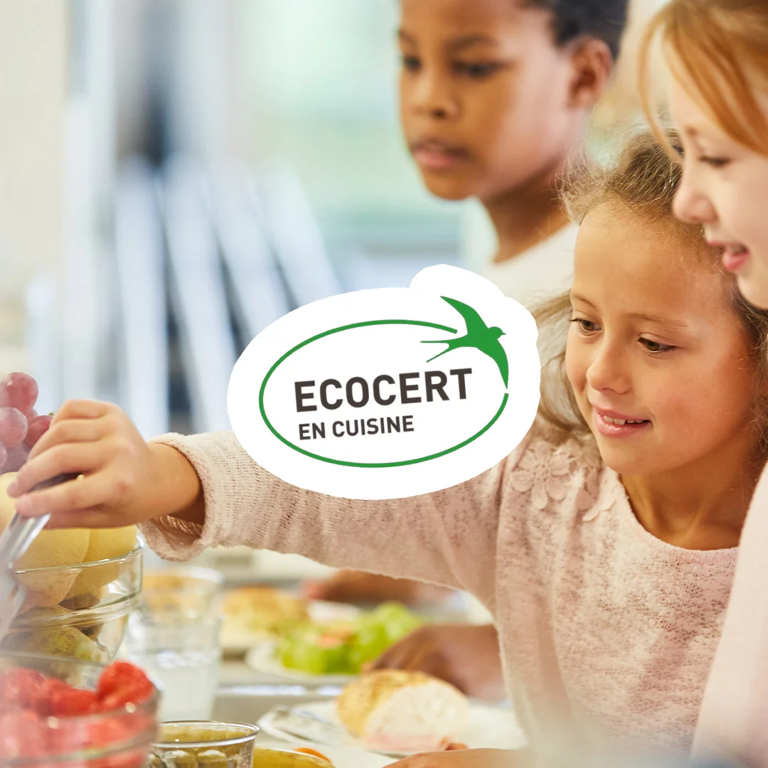 Label Ecocert en cuisine : Une démarche durable pour la restauration ...
